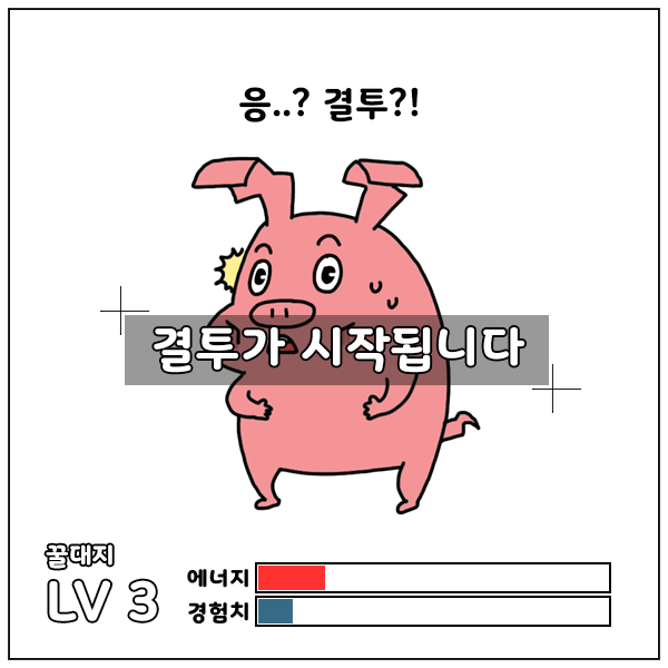 푸드탐구생활 7종 비교 배고플 땐 꿀돼지가 아니야 네이버 블로그
