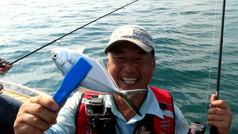 헬링스캐드 Herring scad 전갱이낚시 : 네이버 블로그