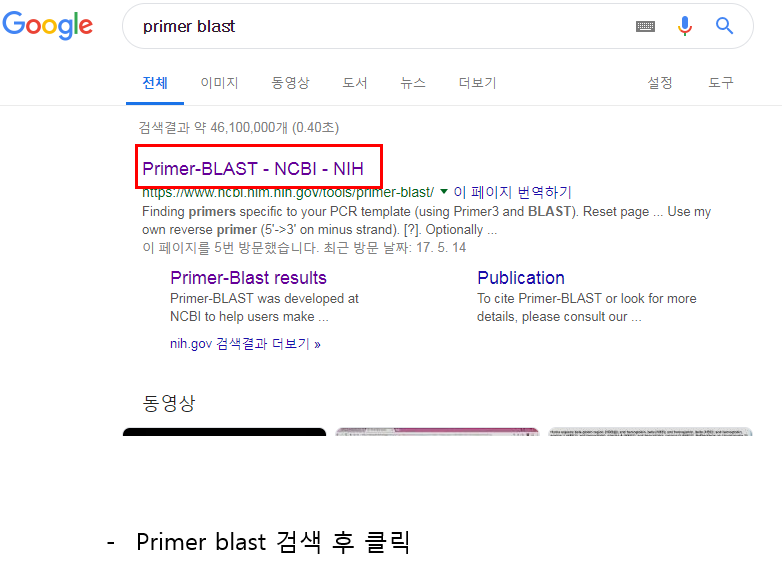 primer design 방법 (NCBI_BLAST 사용) : 네이버 블로그