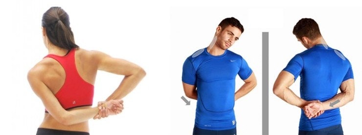 극상근supraspinatus 가시위근 해부학 회전근개 운동 스트레칭 어깨 회전근개파열 어깨충돌증후군 네이버 블로그