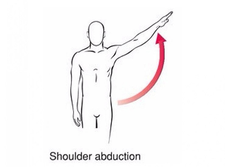 극상근supraspinatus 가시위근 해부학 회전근개 운동 스트레칭 어깨 회전근개파열 어깨충돌증후군 네이버 블로그
