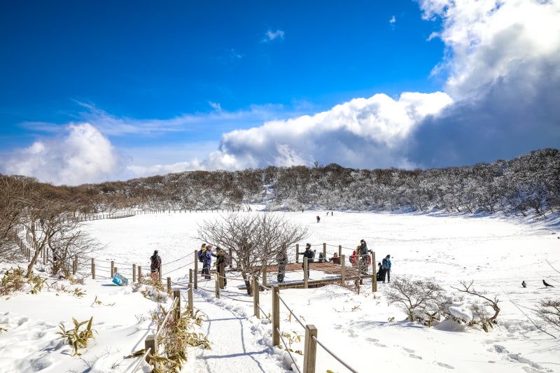 제주도 한라산 관음사코스 입산 성판악코스 하산 백록담보러 겨울등반 입산통제시간 등반시간 소요시간 네이버 블로그