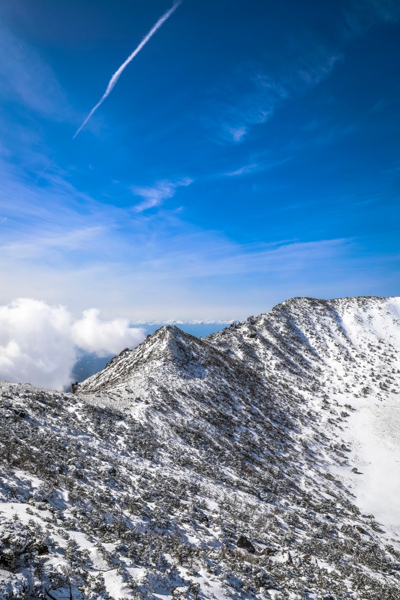제주도 한라산 관음사코스 입산 성판악코스 하산 백록담보러 겨울등반 입산통제시간 등반시간 소요시간 네이버 블로그