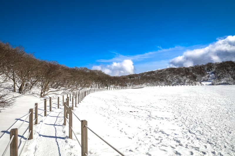 제주도 한라산 관음사코스 입산 성판악코스 하산 백록담보러 겨울등반 입산통제시간 등반시간 소요시간 네이버 블로그