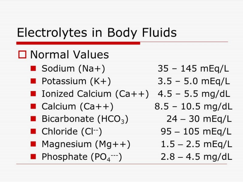 신장의 수분 및 전해질 대사 요약 : 네이버 블로그