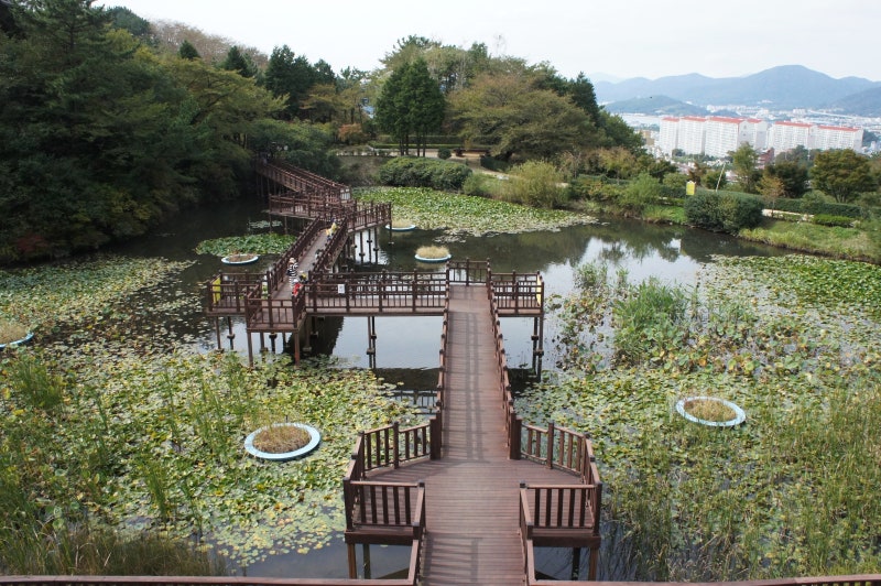 진해 여행목재 문화 체험장 안민고개 카페 봄날 시루봉 누리길 안민고개 전망대 창원 솔라타워 진해해양공원