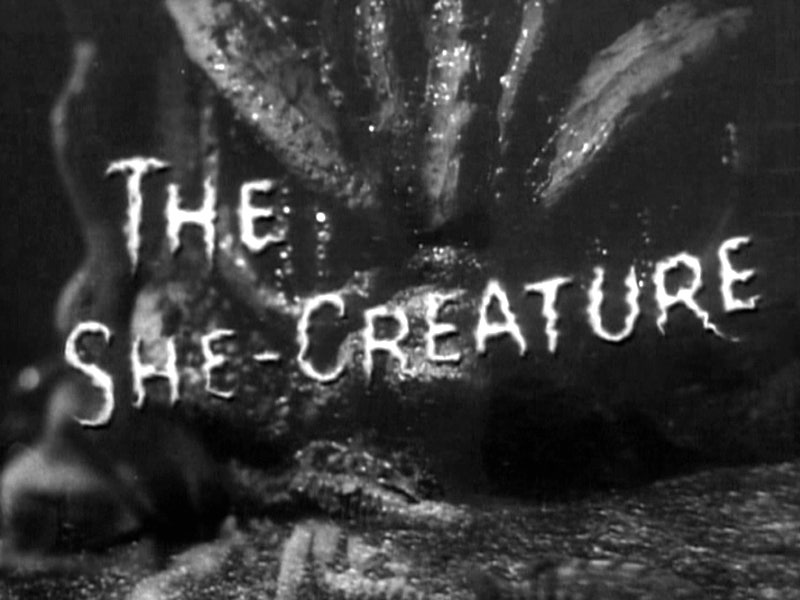 스탠 윈스턴의 크리처 피처스 (Creature Features) (잔혹 주의) : 네이버 블로그