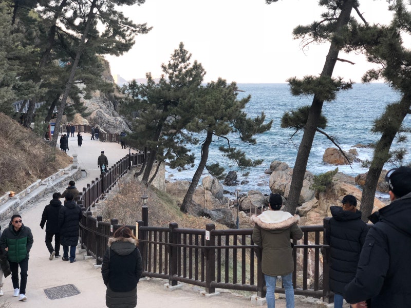 강원도여행 양양 가볼만한곳 낙산사 낙산사 입장료 주차 네이버 블로그