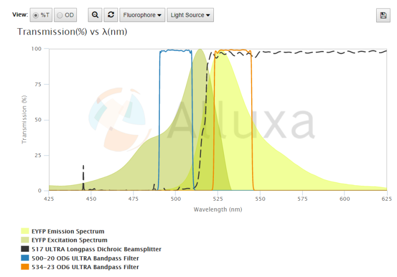 Single-Band Fluorescence Filter - YFP ULTRA Widefield Fluorescence ...