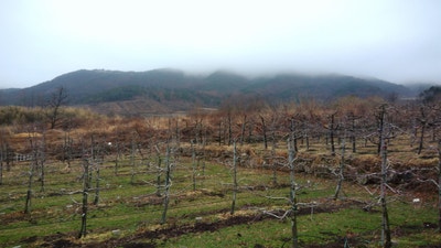 Geochang, in the moutains 거창, 산속에 : 네이버 블로그