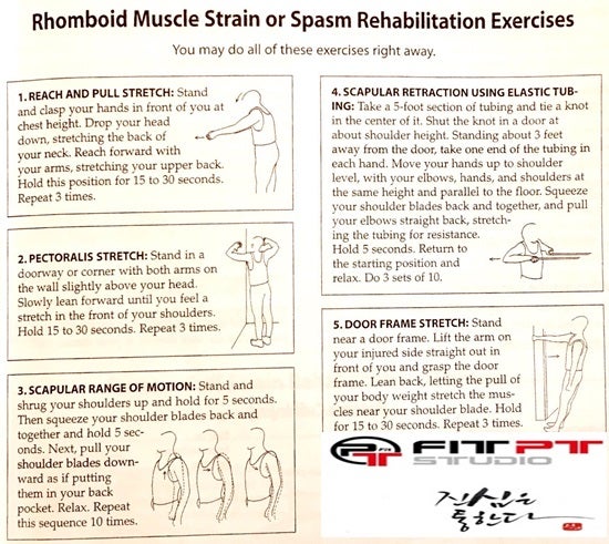 Rhomboid Muscle Strain or Spasm(능형근염좌/능형근좌상) 의 발생, 증상, 진단, 치료 [핏피티 ...