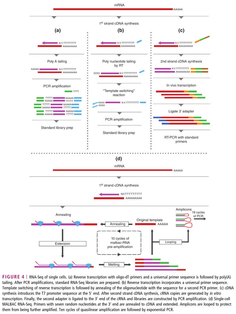 2016.전사체 분석을 위한 RNA-seq 방법 : 네이버 블로그