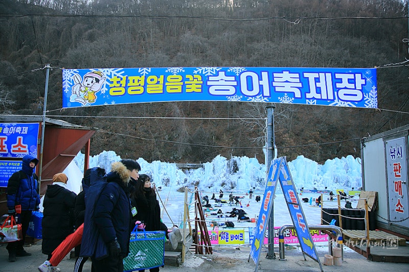 청평얼음꽃송어축제가 열리는 청평 얼음낚시 네이버 블로그