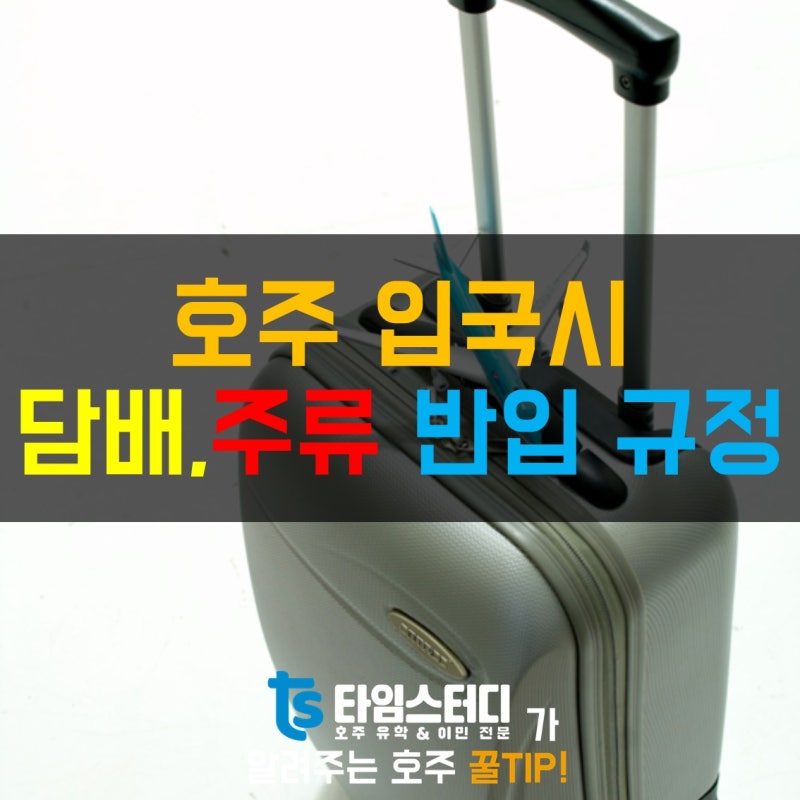 호주워홀 호주 입국시 담배주류 반입 규정 면세 한도 담배 적발시 관세 계산 네이버 블로그