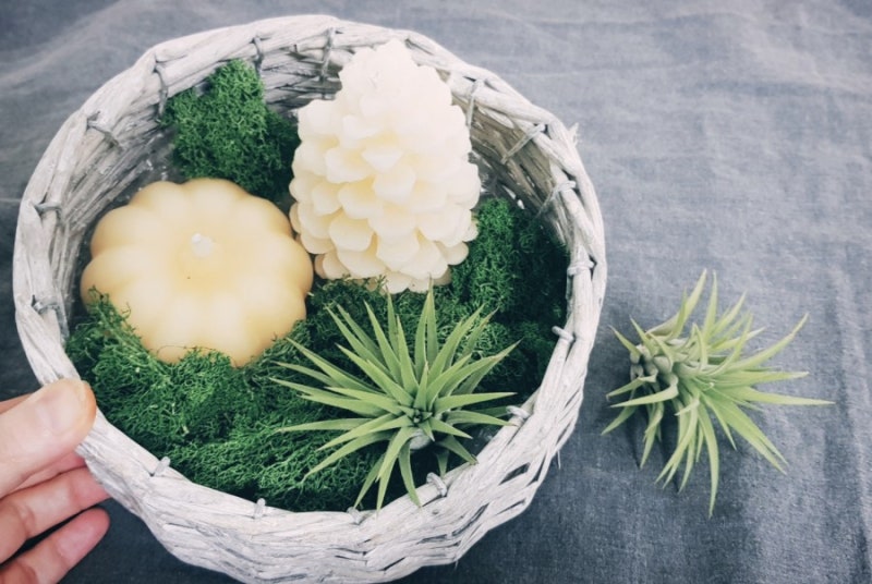 천연이끼 스칸디아모스scandinavian Moss로 캔들 테라리움 만들기 네이버 블로그