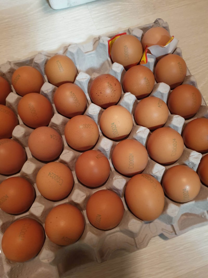 맛있는 맥반석 구운계란 2판 냠냠냠 : 네이버 블로그