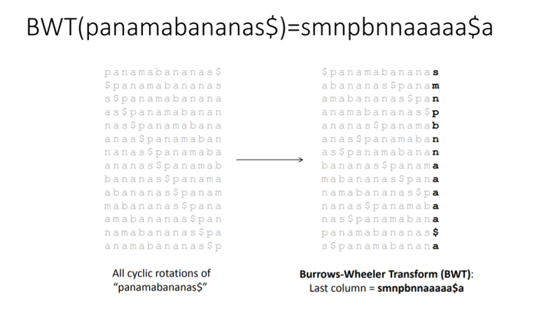 String - Burrows-Wheeler Transform(BWT) and Suffix Arrays : 네이버 블로그