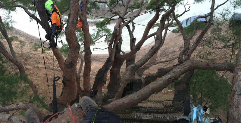 CABLING & BRACING, COBRA ROPE, MECHANICAL ADVANTAGE SYSTEM 특별강습 : 네이버 블로그