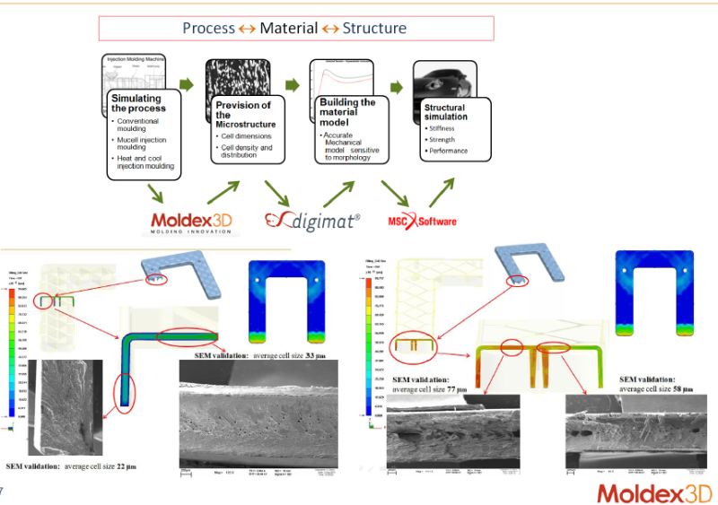Mucell (뮤셀) : 네이버 블로그