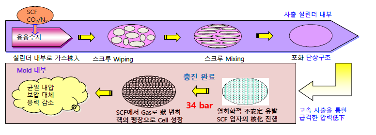 Mucell (뮤셀) : 네이버 블로그