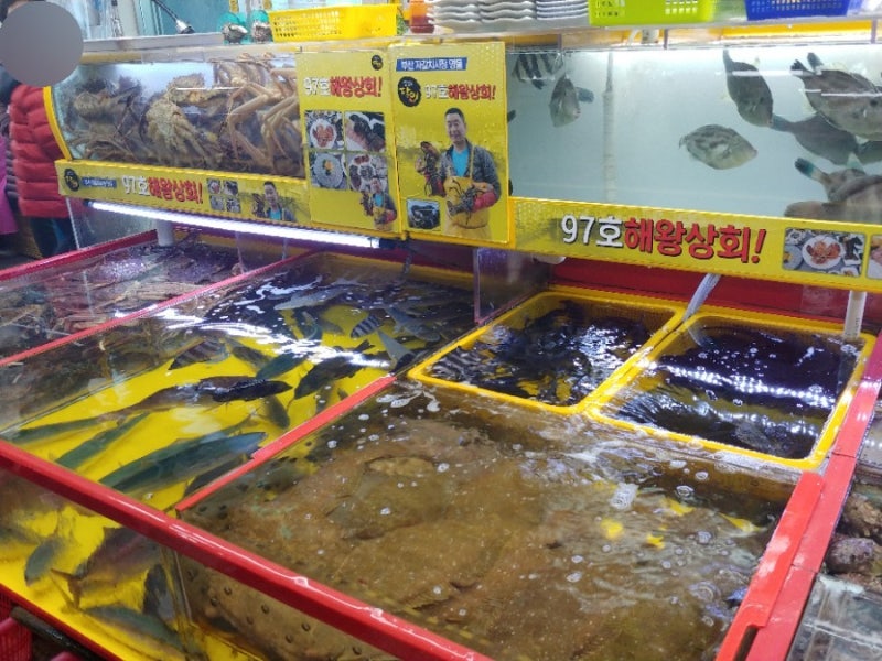 부산 자갈치시장 97호 해왕상회 랍스타대게 코스 네이버 블로그