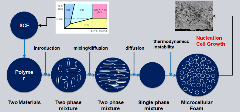 Mucell (뮤셀) : 네이버 블로그