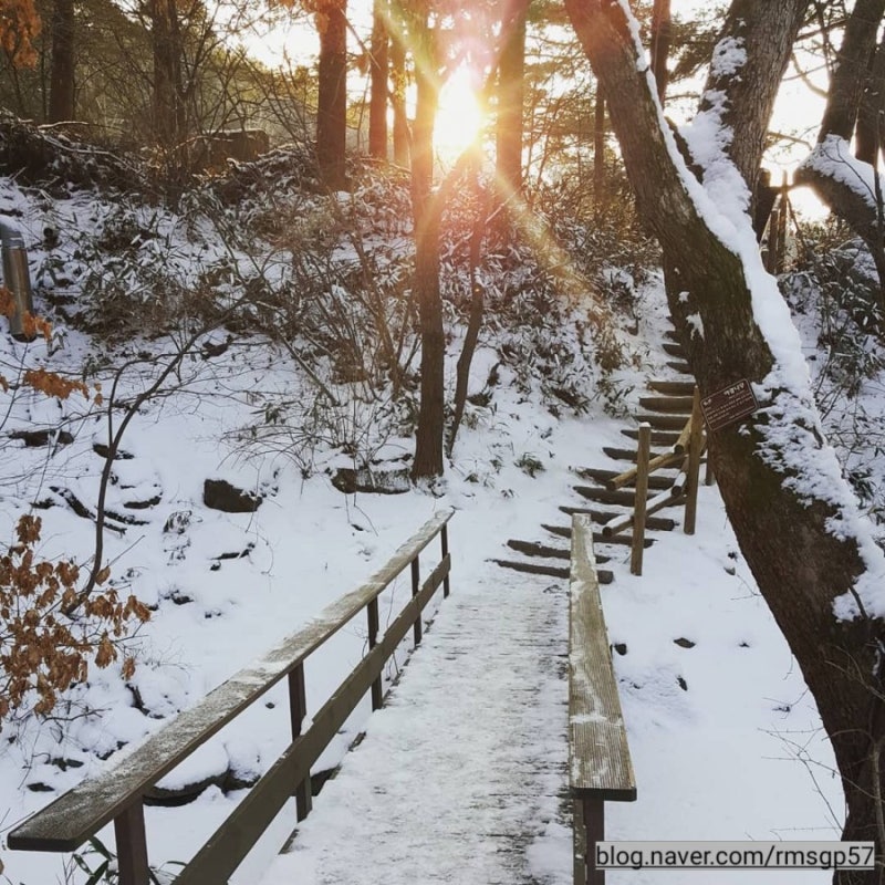 아이랑겨울여행 청태산자연휴양림1 네이버 블로그