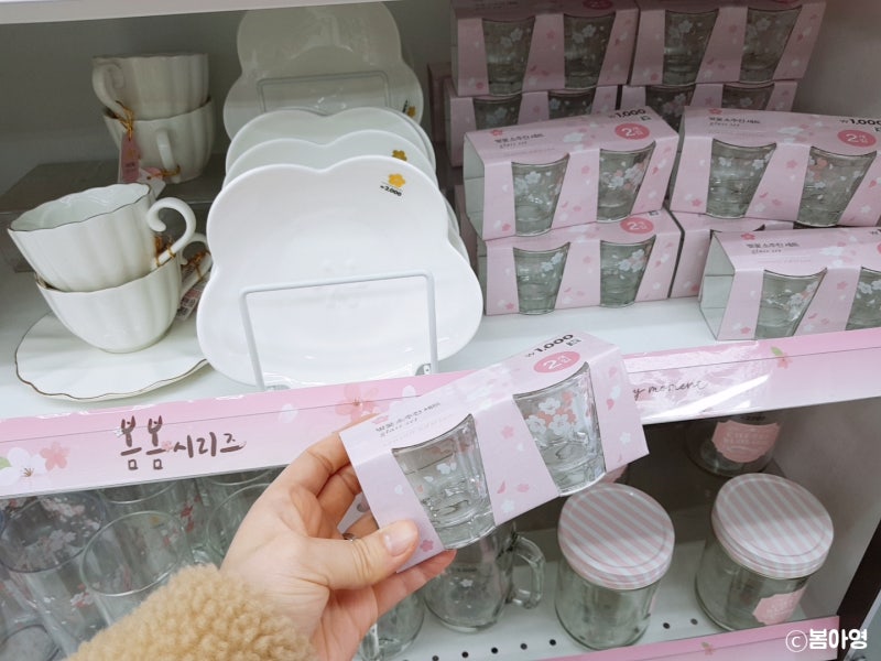 다이소 봄봄시리즈 벚꽃 만개 2019 네이버 블로그