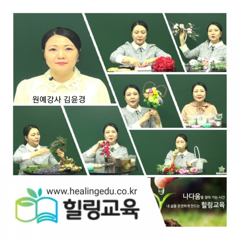 원예치료사 자격증 원예치료 온라인 오프라인 강의 제일 빼른 자격증 취득 네이버 블로그