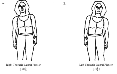 얀다의 근육불균형의 평가와 치료(Assessment and Treatment of Muscle Imbalance The ...