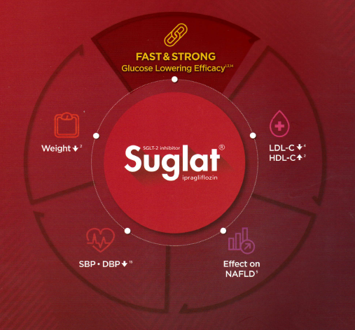 SGLT2 억제제, Suglat(슈글렛) : 네이버 블로그