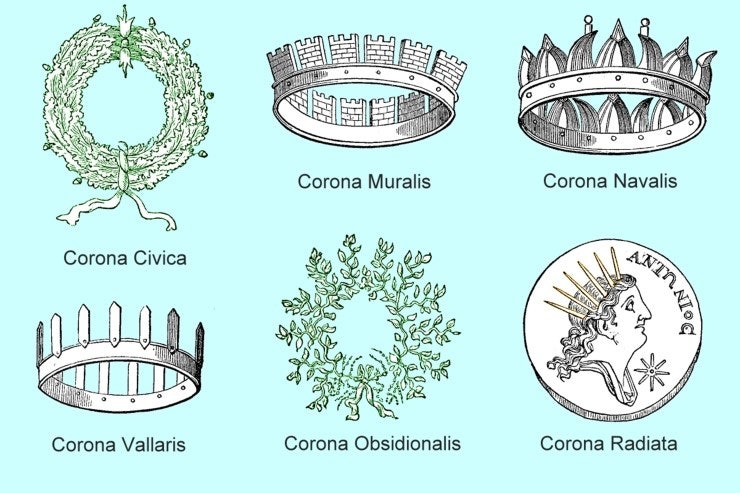 영원한 사랑과 아름다움의 상징, 미르틀(Myrtle) 나무 : 네이버 블로그