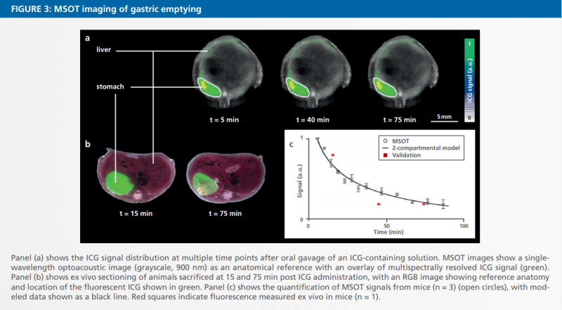 [in vivo imaging system MSOT] 차세대 치료법, Photodynamic Therapy 분석이 가능합니다 ...