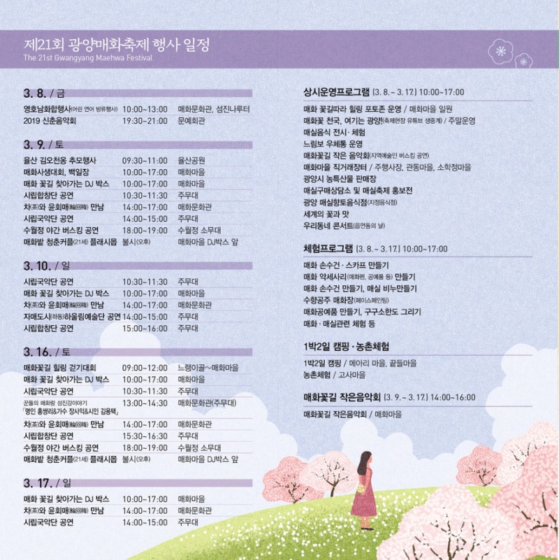 숫자로 보는 2019년 광양매화축제 봄축제 개화상황 광양매화마을 네이버 블로그