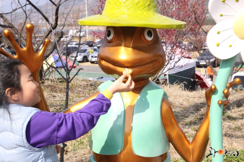 숫자로 보는 2019년 광양매화축제 봄축제 개화상황 광양매화마을 네이버 블로그