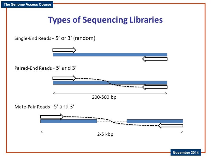 Single-end, Paired-end & Mate-pair : 네이버 블로그