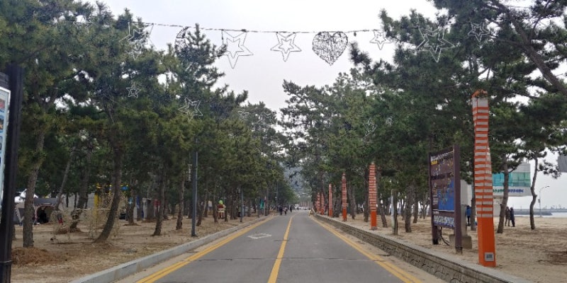 보성 율포해수녹차센터 해수탕 해수녹차탕 이용방법 네이버 블로그