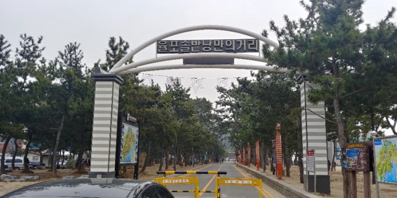 보성 율포해수녹차센터 해수탕 해수녹차탕 이용방법 네이버 블로그