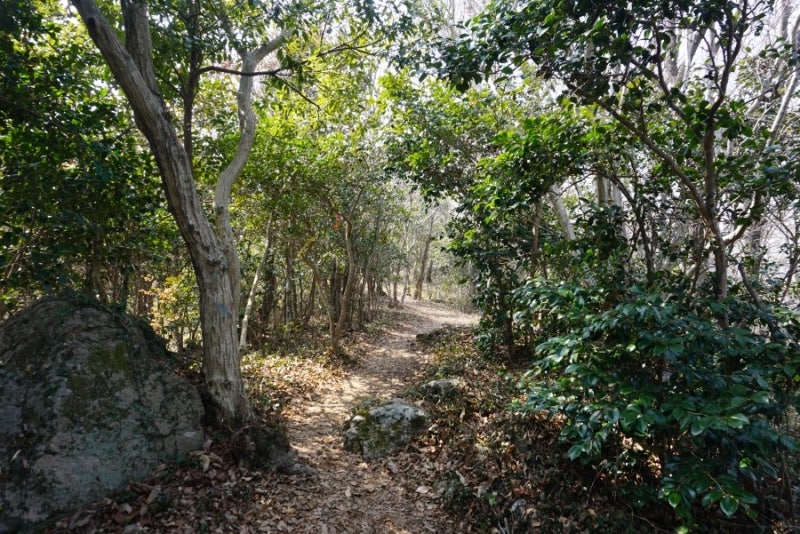 진도 남망산, 비경있는 접도웰빙 등산로 트레킹. : 네이버 블로그