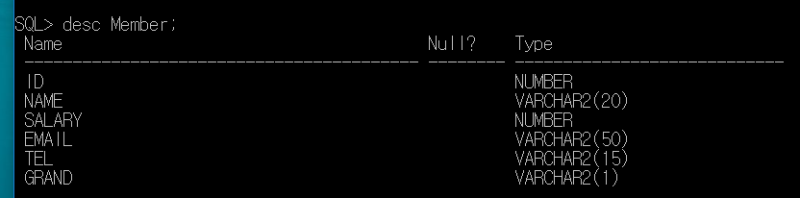 [oracle]Run sql Command Line console start(콘솔로 시작하기) : 네이버 블로그