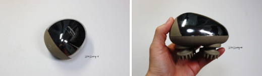 #브레오 SCALP STONE (스칼프 스톤)/실버/ 다리달린 조약돌로 두피관리한다고?? : 네이버 블로그