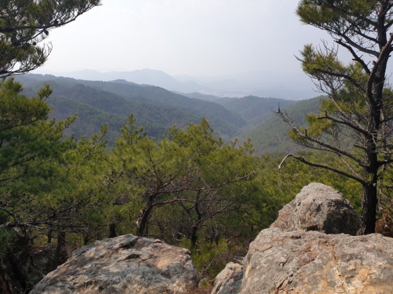 봉화산(대소산,286m), 망월봉(225m), 망일봉(152m) 경상북도 영덕군 축산면, 영해면 : 네이버 블로그