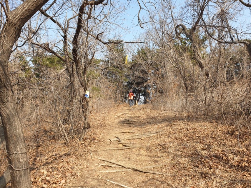 봉화산(대소산,286m), 망월봉(225m), 망일봉(152m) 경상북도 영덕군 축산면, 영해면 : 네이버 블로그