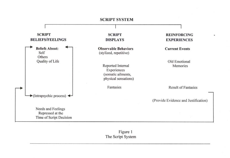 라켓 체계(Racket system) : 네이버 블로그