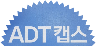 CCTV설치 ADT캡스 보안업체 추천! SKT결합 할인이벤트 : 네이버 블로그