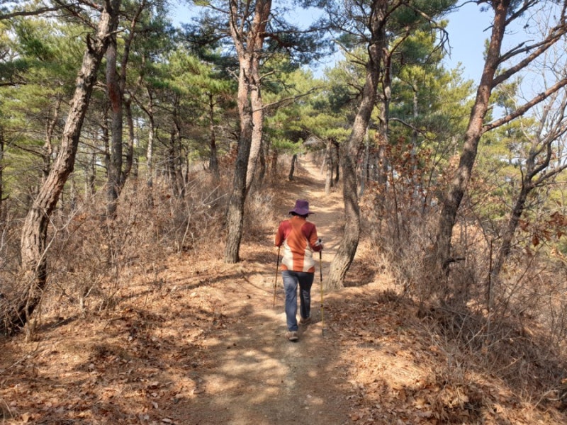 봉화산(대소산,286m), 망월봉(225m), 망일봉(152m) 경상북도 영덕군 축산면, 영해면 : 네이버 블로그
