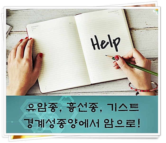 제자리암과 경계성종양 질병분류코드번호와 암진단비 보상 해결 네이버 블로그