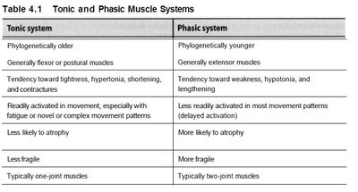 얀다의 근육 불균형의 평가와 치료(Assessment and Treatment of Muscle Imbalance The ...