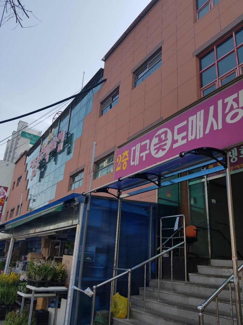 대구 꽃백화점 칠성시장 꽃시장 네이버 블로그