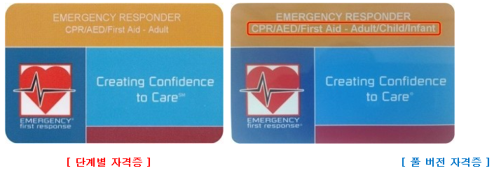 [EFR / EFRI 응급처치 자격증] 2019. 11월 취득 교육 일정 공지(서울) : 네이버 블로그